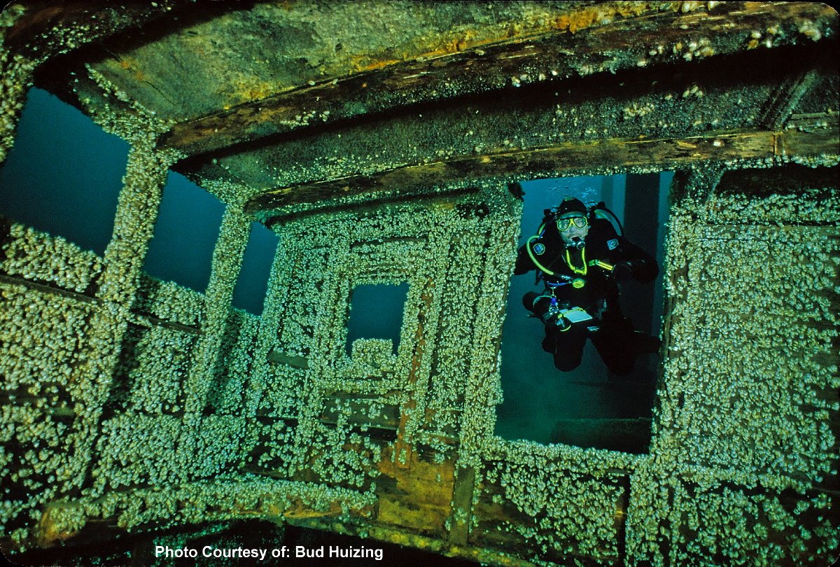 Thunder Bay Scuba Kyle Spangler Page